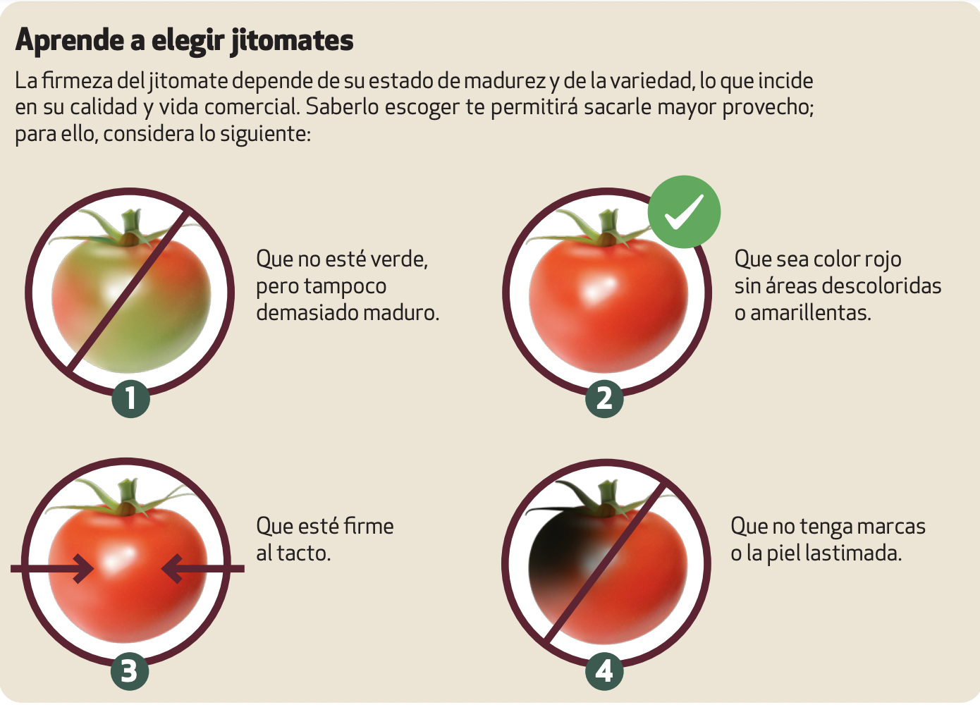 SLP, entre los principales productores de jitomate - Entre Líneas